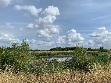 Nottingham - BBC Weather