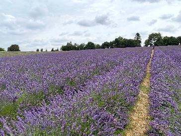 Coventry - BBC Weather