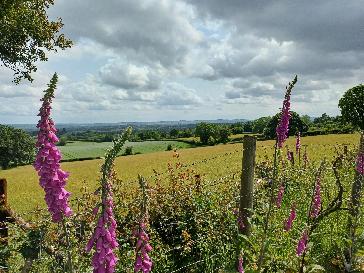 Redditch - BBC Weather