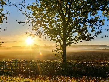 Audley - BBC Weather
