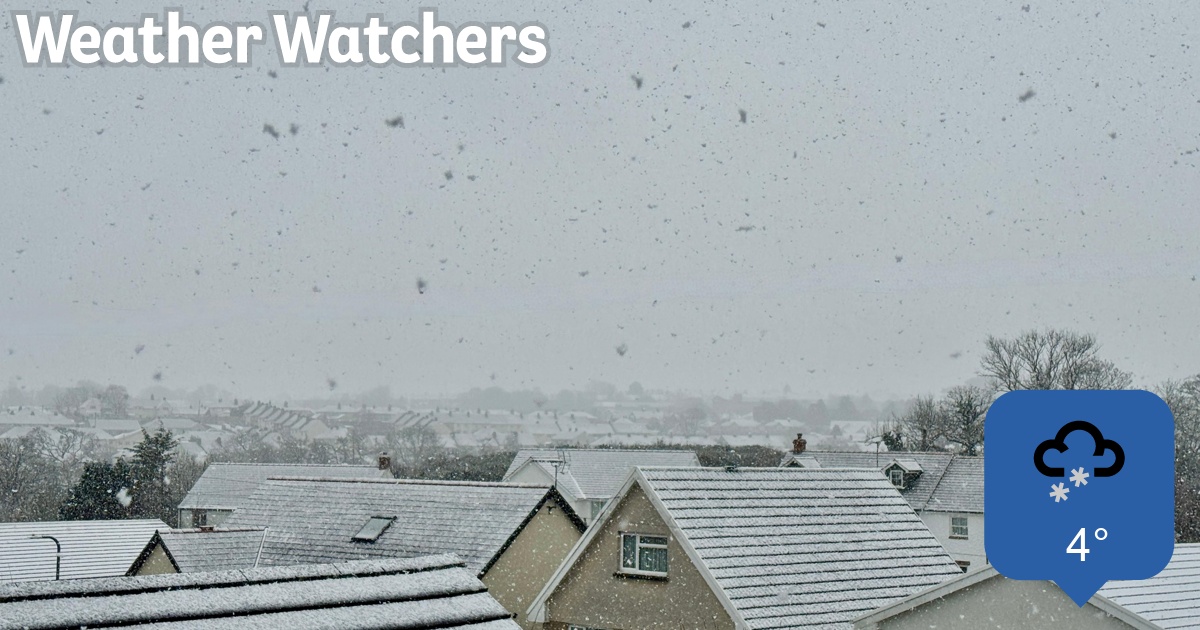 Report - BBC Weather Watchers