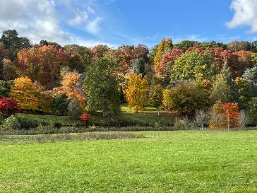 Woking - BBC Weather