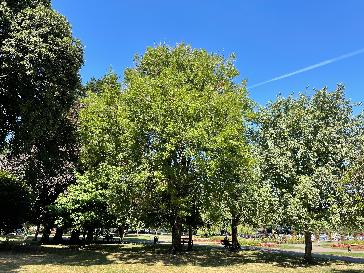 Cardiff - BBC Weather