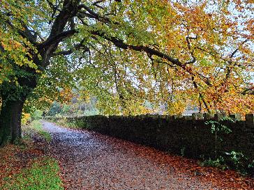 Clitheroe - BBC Weather