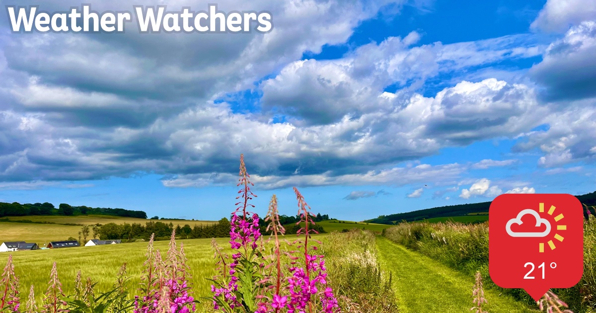 Report - BBC Weather Watchers