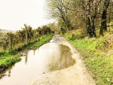 Clitheroe - BBC Weather