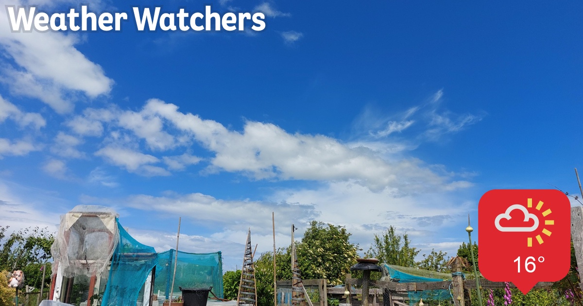 Report - BBC Weather Watchers