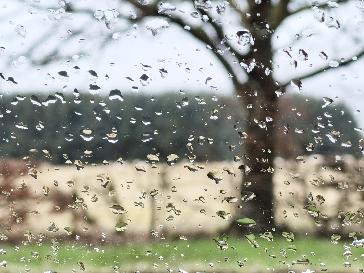 Montrose - BBC Weather