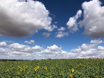 Aylesbury - BBC Weather