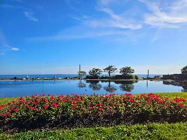 Wallsend - BBC Weather