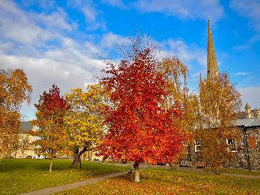 Norwich - BBC Weather