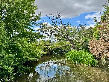 Trowbridge - BBC Weather