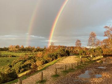 Ringwood - BBC Weather