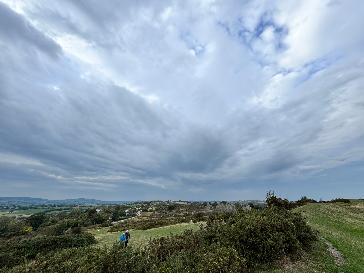 Buckley - BBC Weather