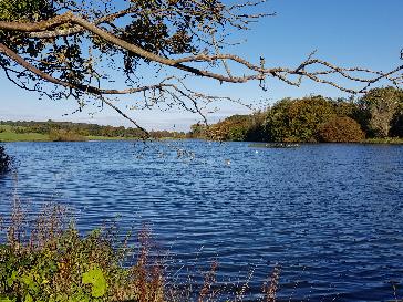 Aylesbury - BBC Weather