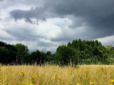 Stockport - BBC Weather