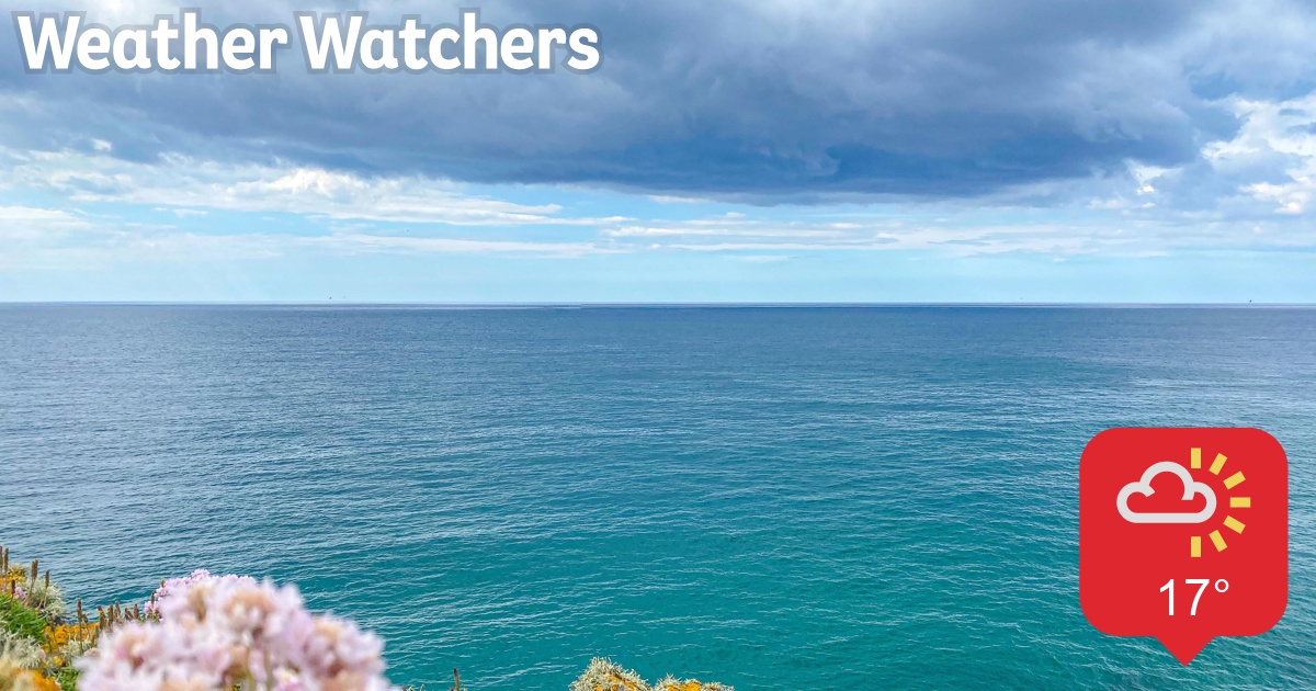 Report - BBC Weather Watchers