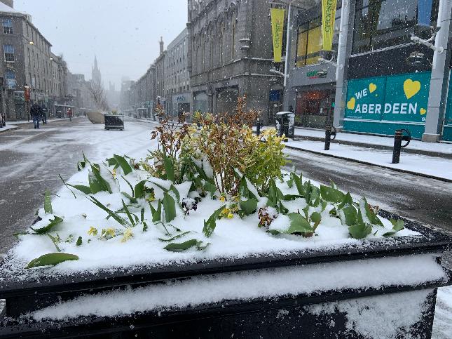 Report - BBC Weather Watchers