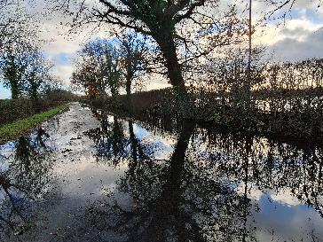 Trowbridge - BBC Weather