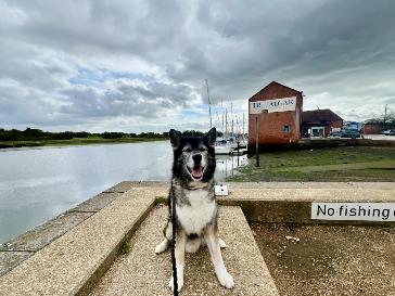 Southampton - BBC Weather