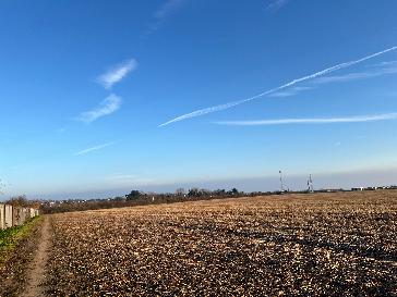 Maidstone - BBC Weather