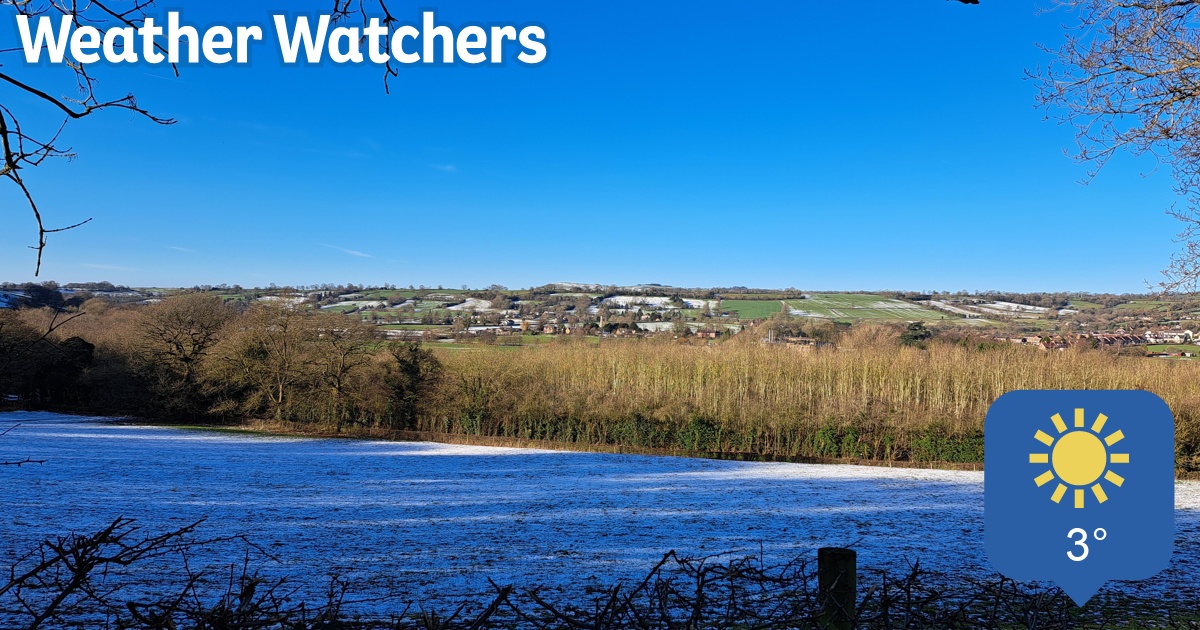 Report - BBC Weather Watchers