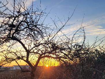 Nottingham - BBC Weather