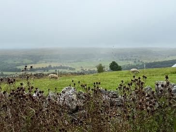 Whitby - BBC Weather