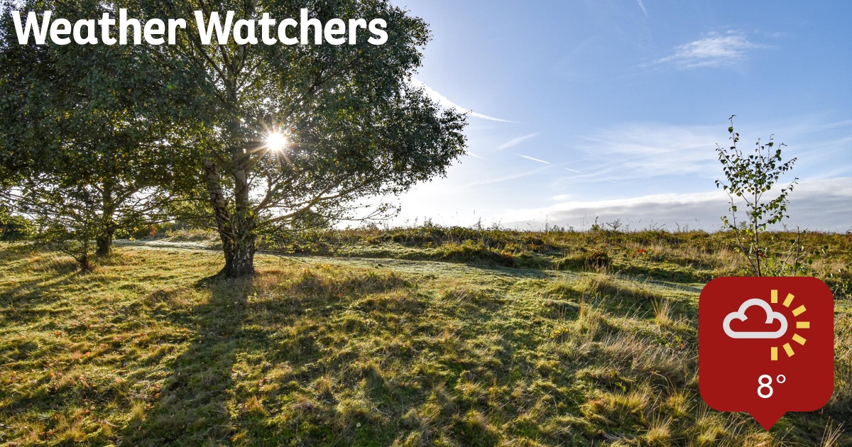 Report - BBC Weather Watchers