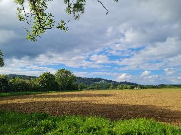 Ewell - BBC Weather