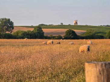 Oldbury - BBC Weather