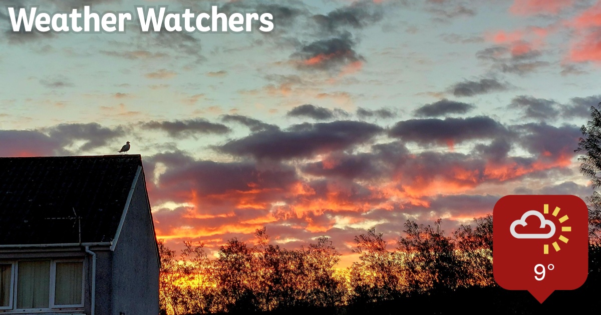 Report - BBC Weather Watchers