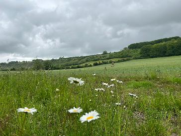 Swindon - BBC Weather