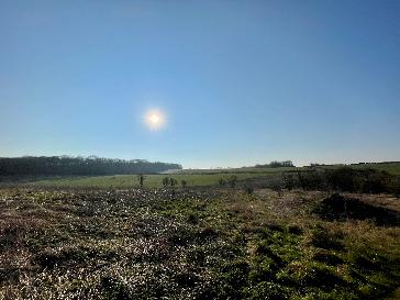 Lincoln - BBC Weather