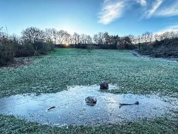 Oldbury - BBC Weather