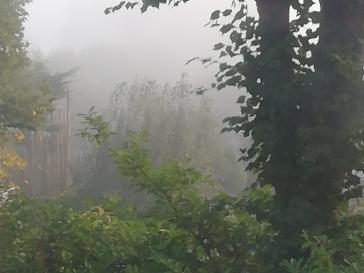 Woking - BBC Weather