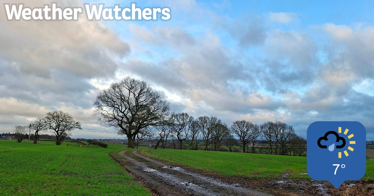Report - BBC Weather Watchers