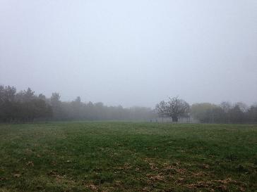 Northampton - BBC Weather