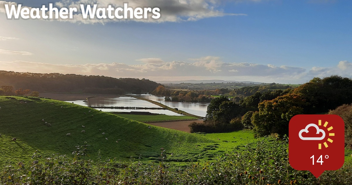 Report - BBC Weather Watchers