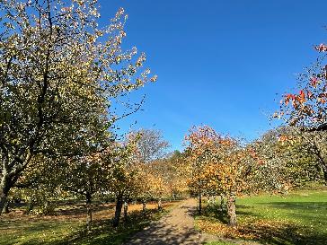 Cardiff - BBC Weather