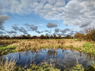 Enfield Town - BBC Weather