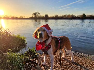 Worksop - BBC Weather