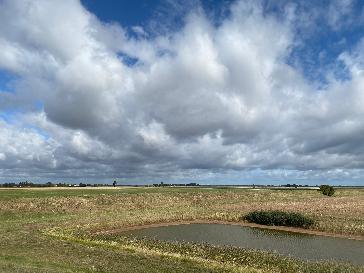 Immingham - BBC Weather