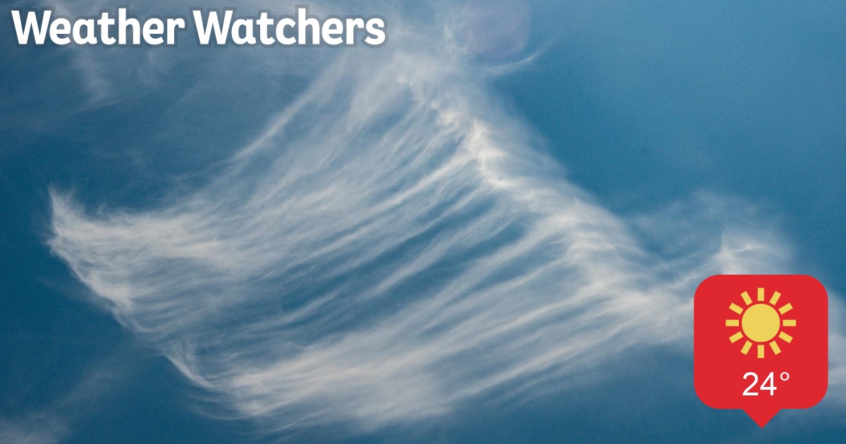 Report - BBC Weather Watchers