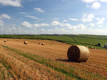Newquay - BBC Weather