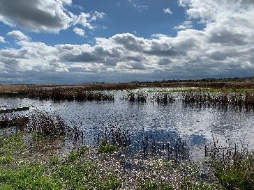Basildon - BBC Weather