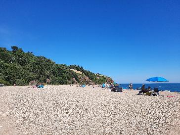 Torquay - BBC Weather