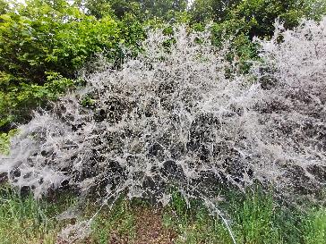 Hinckley - BBC Weather