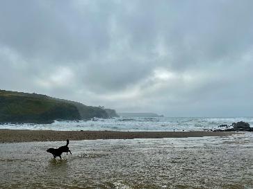 Newquay - BBC Weather
