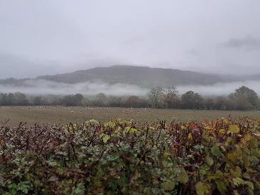 Cardiff Airport - BBC Weather